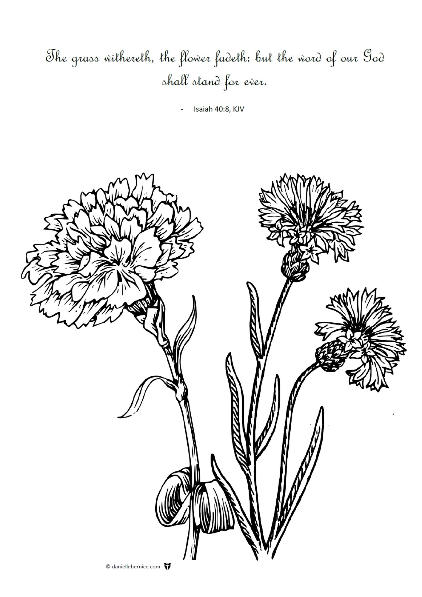 Coloring pages - DanielleBernice.com