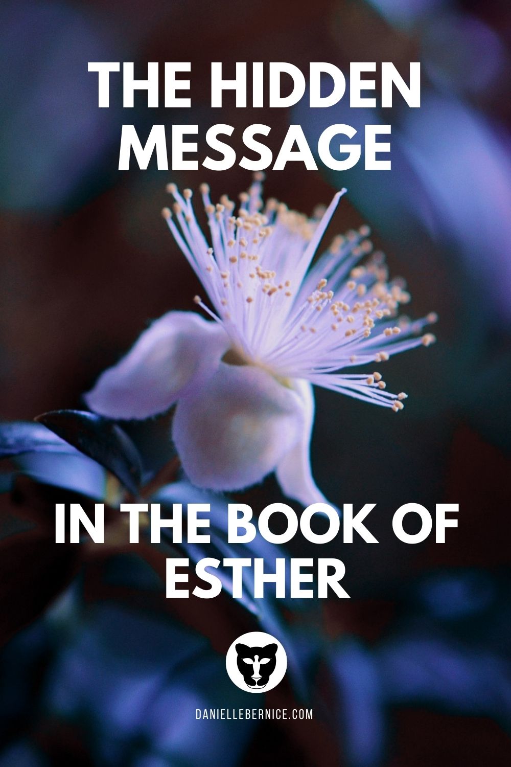 The hidden message in the Book of Esther - DanielleBernice.com