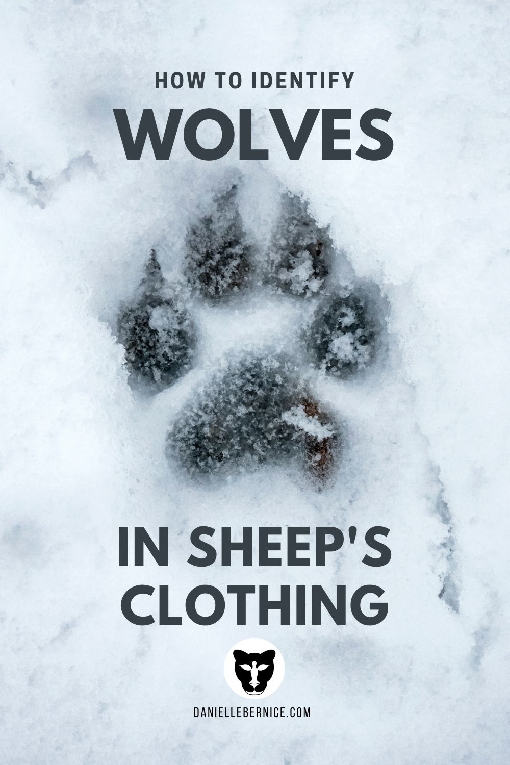 Identifying wolves in sheep’s clothing - DanielleBernice.com