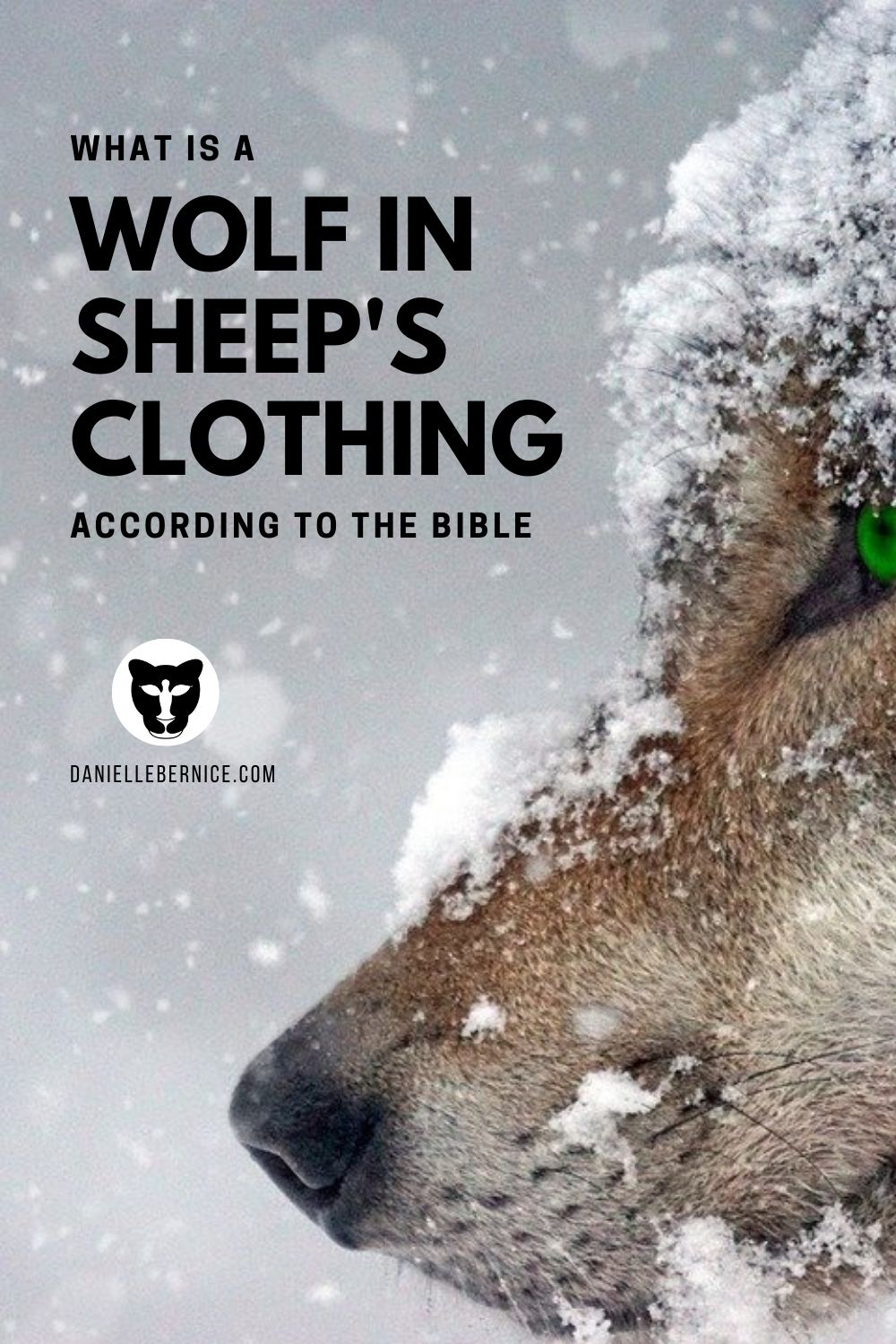 Identifying wolves in sheep’s clothing - DanielleBernice.com